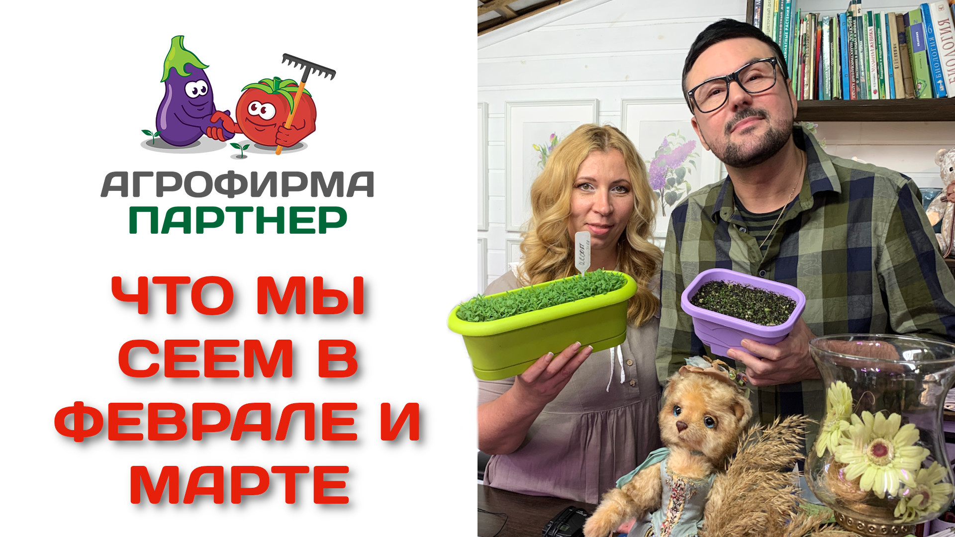 Что мы сеем в феврале и марте