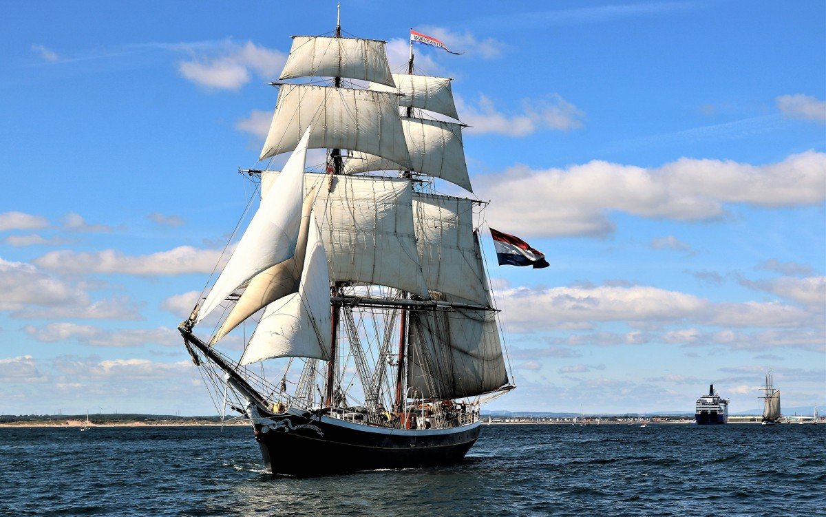 Творческий поток и зачем людям курс о политике. (#12)