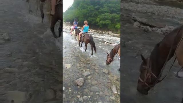 Конные прогулки. Прокат лошадей. Катание на лошадях. Лазаревское