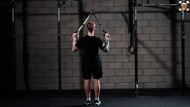 W-Pull TRX