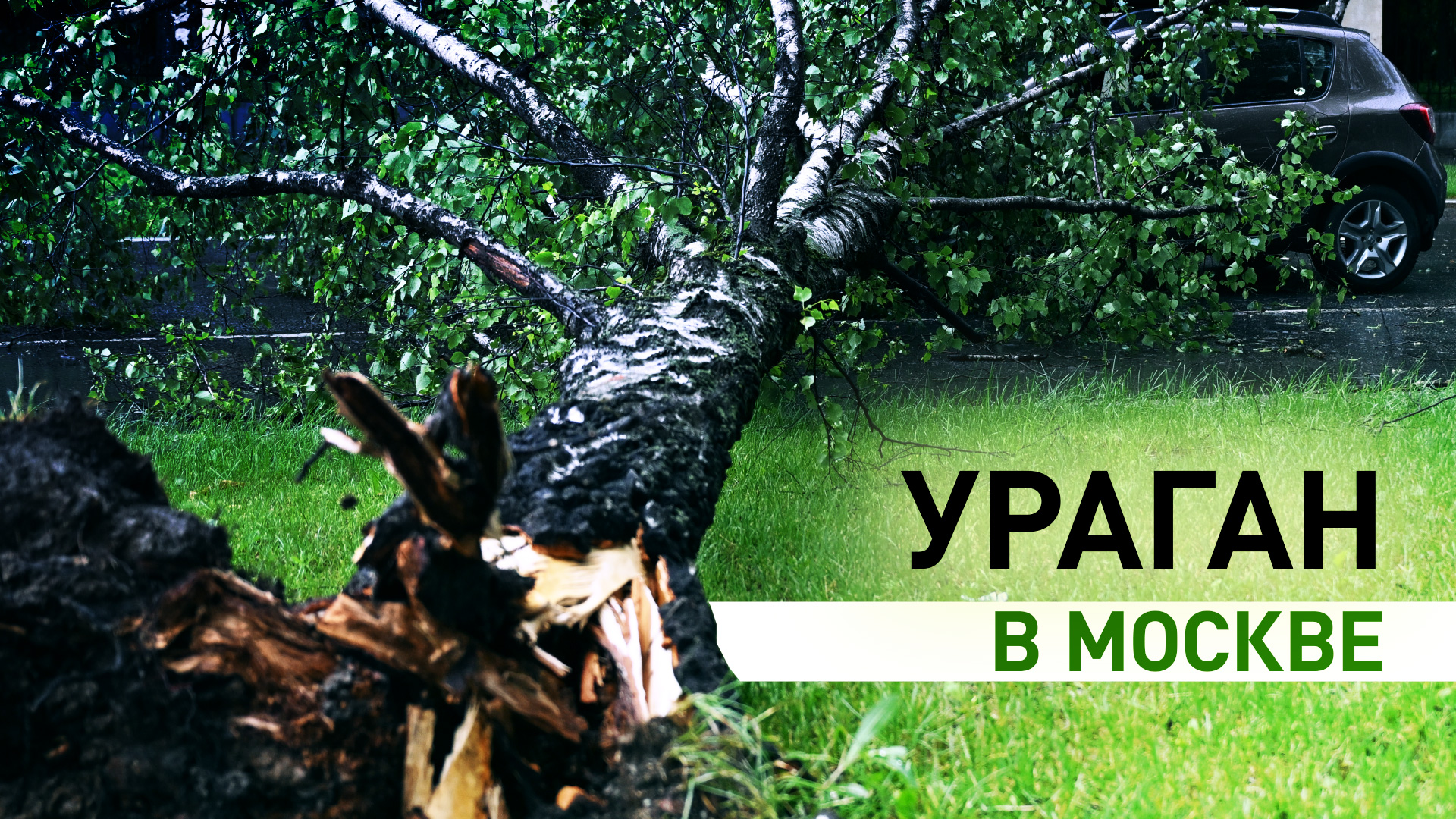 Смерчи, поваленные деревья и затопленные улицы: на Москву обрушился мощный ураган