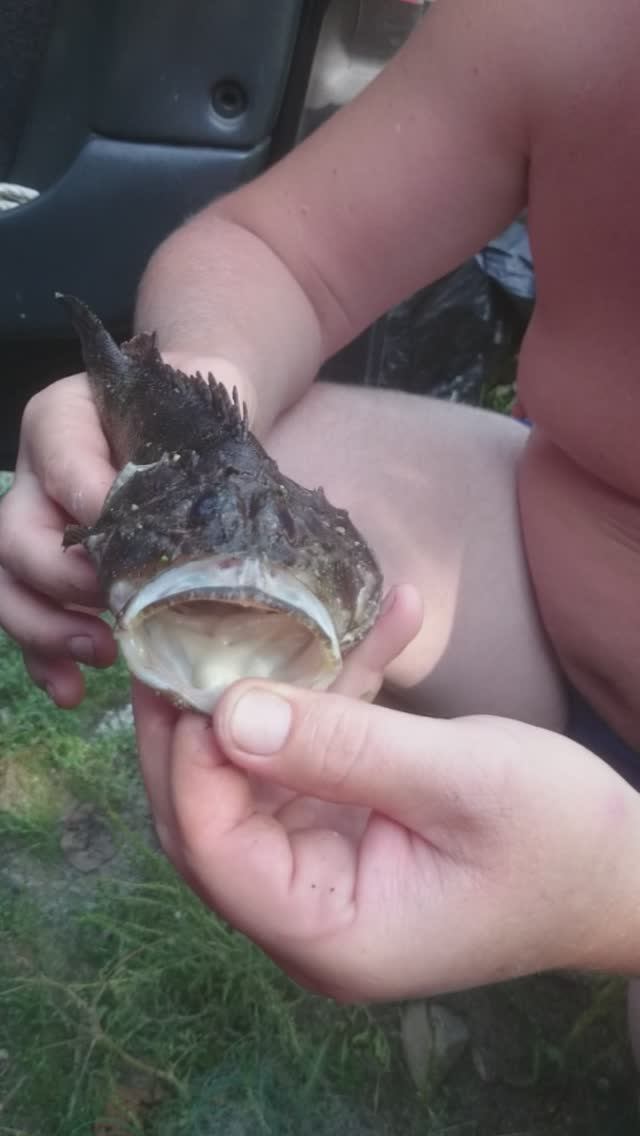 Морская рыбалка