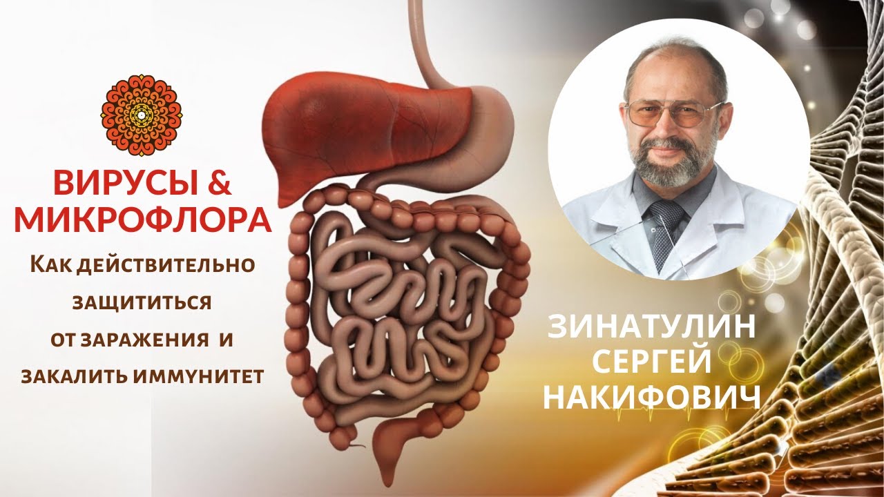 Вирусы & Микрофлора. Зинатулин Сергей.