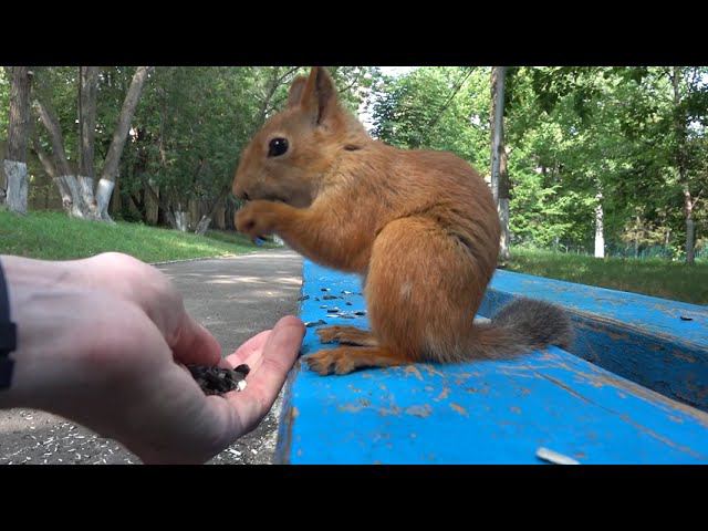 Стой! Куда понёс?