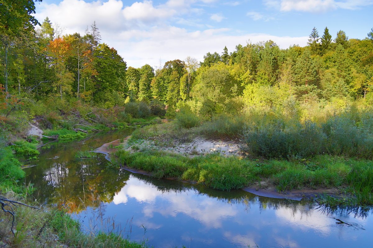 Релакс- 2.Звуки природы.