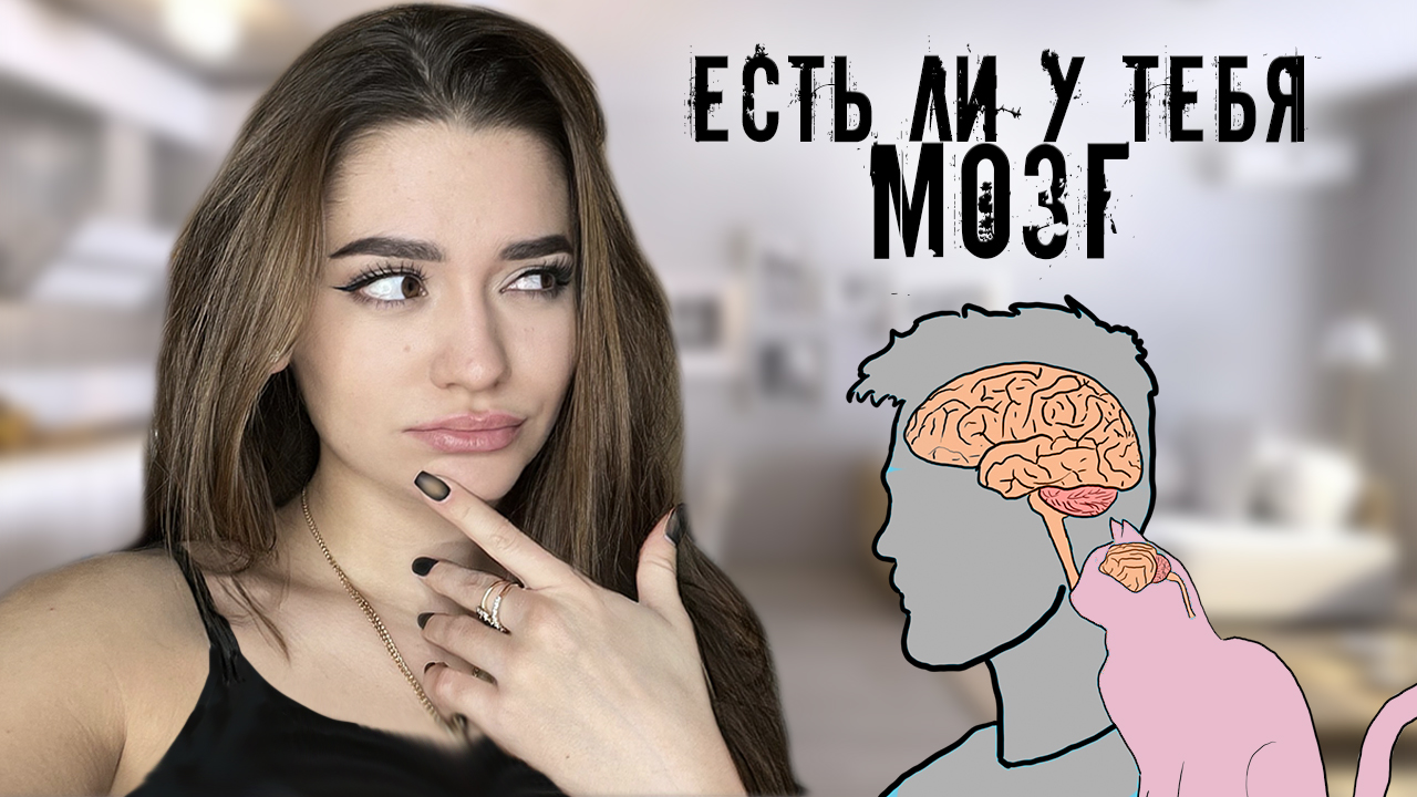 ЕСТЬ ЛИ У ТЕБЯ МОЗГ?