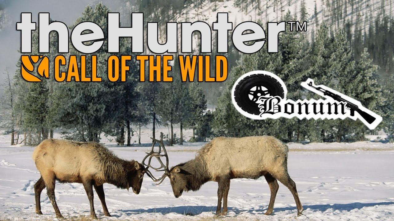 В theHunter Call of the Wild на серверных оленей.
