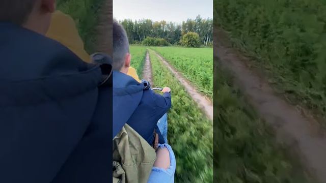 Семейная поездка на мотоцикле. #иж49
