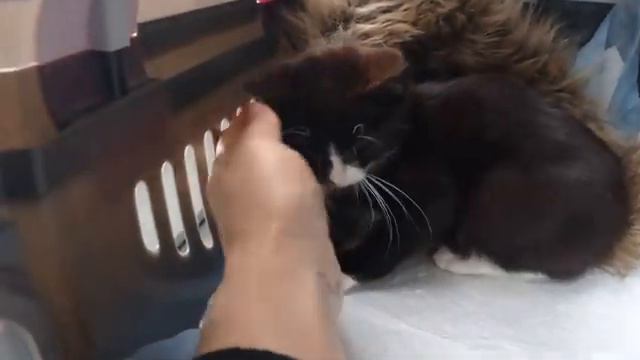 Марс. Последние минутки бездомности