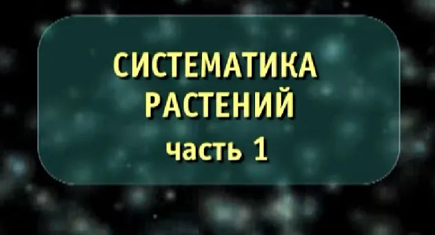 Систематика растений. Часть 1. Отделы моховидные, плауновидные, хвощевидные и папоротники. Биология