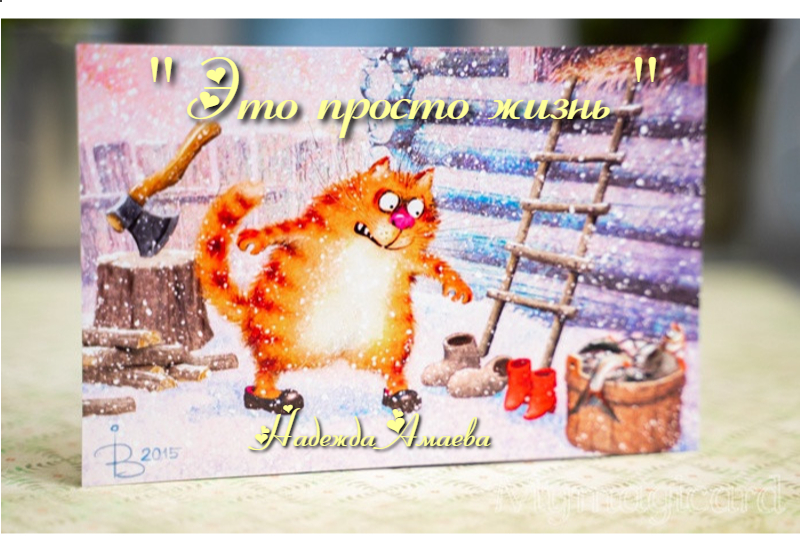 Обзор метафорических карточек " Это просто жизнь"