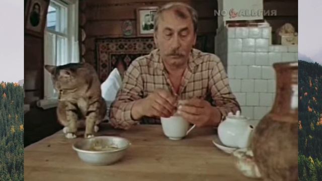 Разговор с котом

#кот #кошки