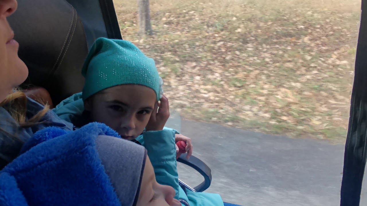 Курортный Парк Кисловодска. Дорога к поляне роз