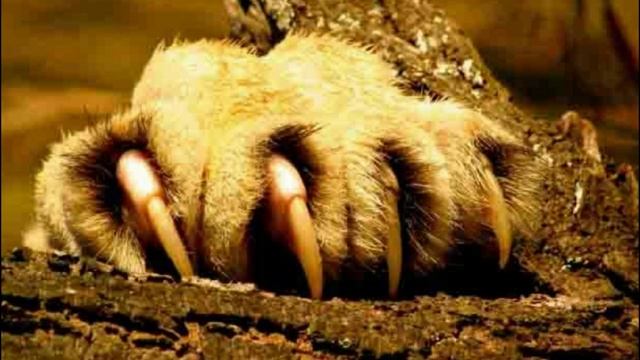 Чужая ложь.mp4