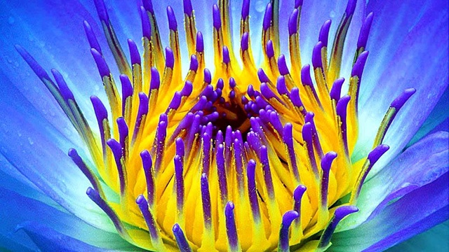 Истинная Божественная Любовь.