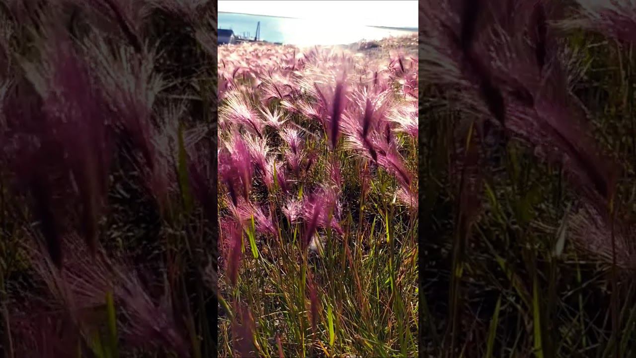 Время. Берег Хатанги