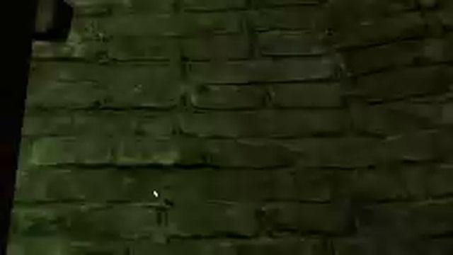 Fallaut 4  прохождения стрим laif