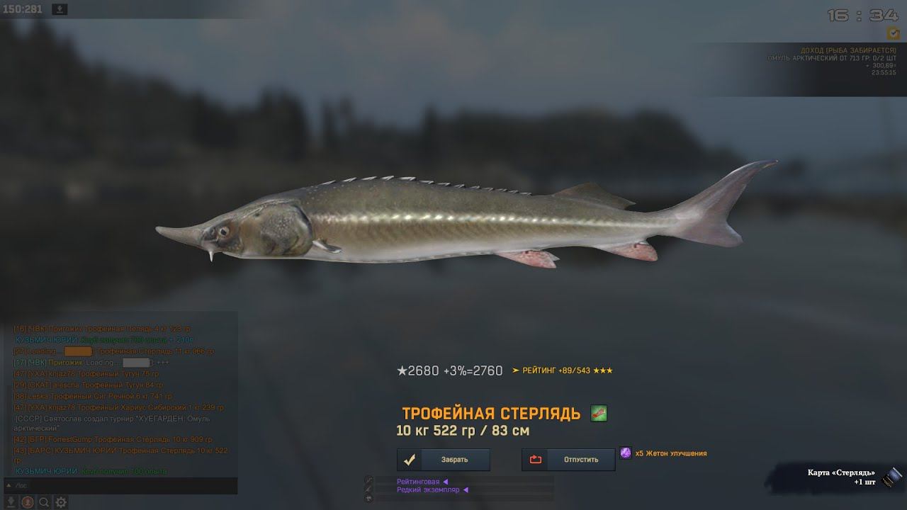 Fisher Online ЕНИСЕЙ СТЕРЛЯДЬ