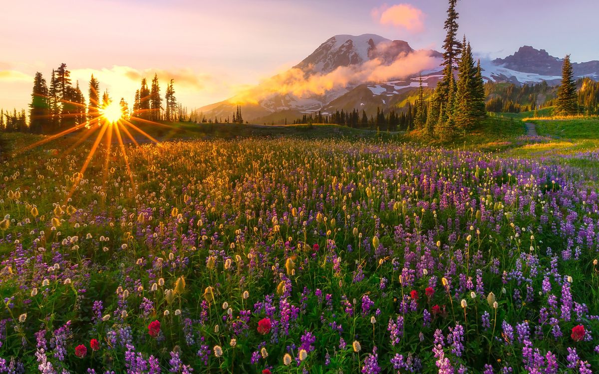 КРАСИВАЯ ПРИРОДА