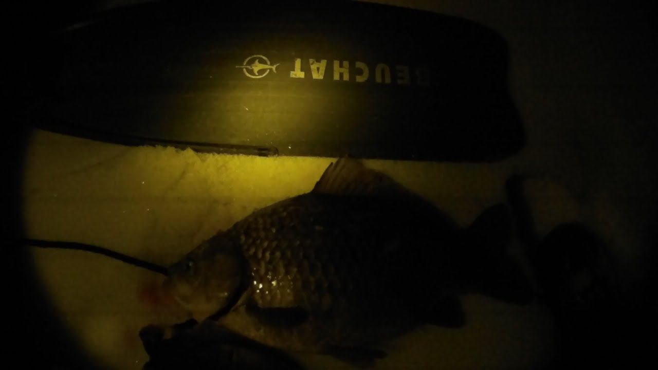 Подводная Охота 2016 "Трофейный карась Миграция густеры" Spearfishing 2016 "Trophy carp"