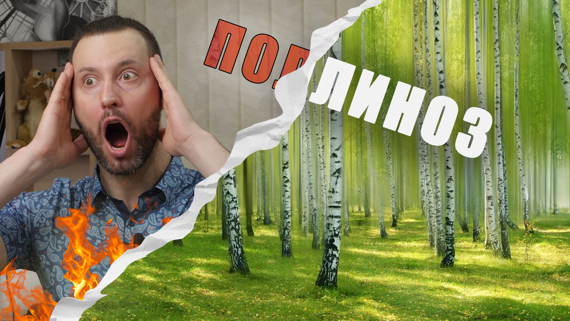 КАК ПЕРЕЖИТЬ ПОЛЛИНОЗ - АЛЛЕРГИЯ НА ЦВЕТЕНИЕ