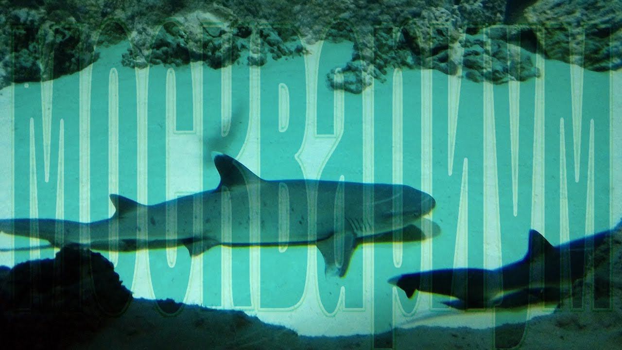 Москвариум на ВДНХ