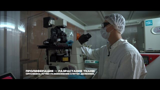 Х-Разработка. Ученый из Белгорода выращивает «мясо в пробирке»
