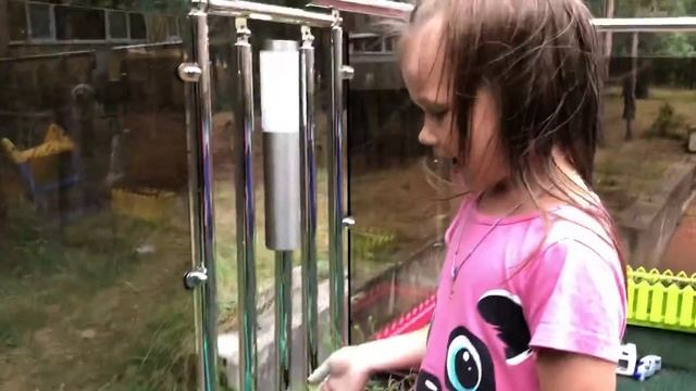 Мираслава показ растений в саду 2018-08-13