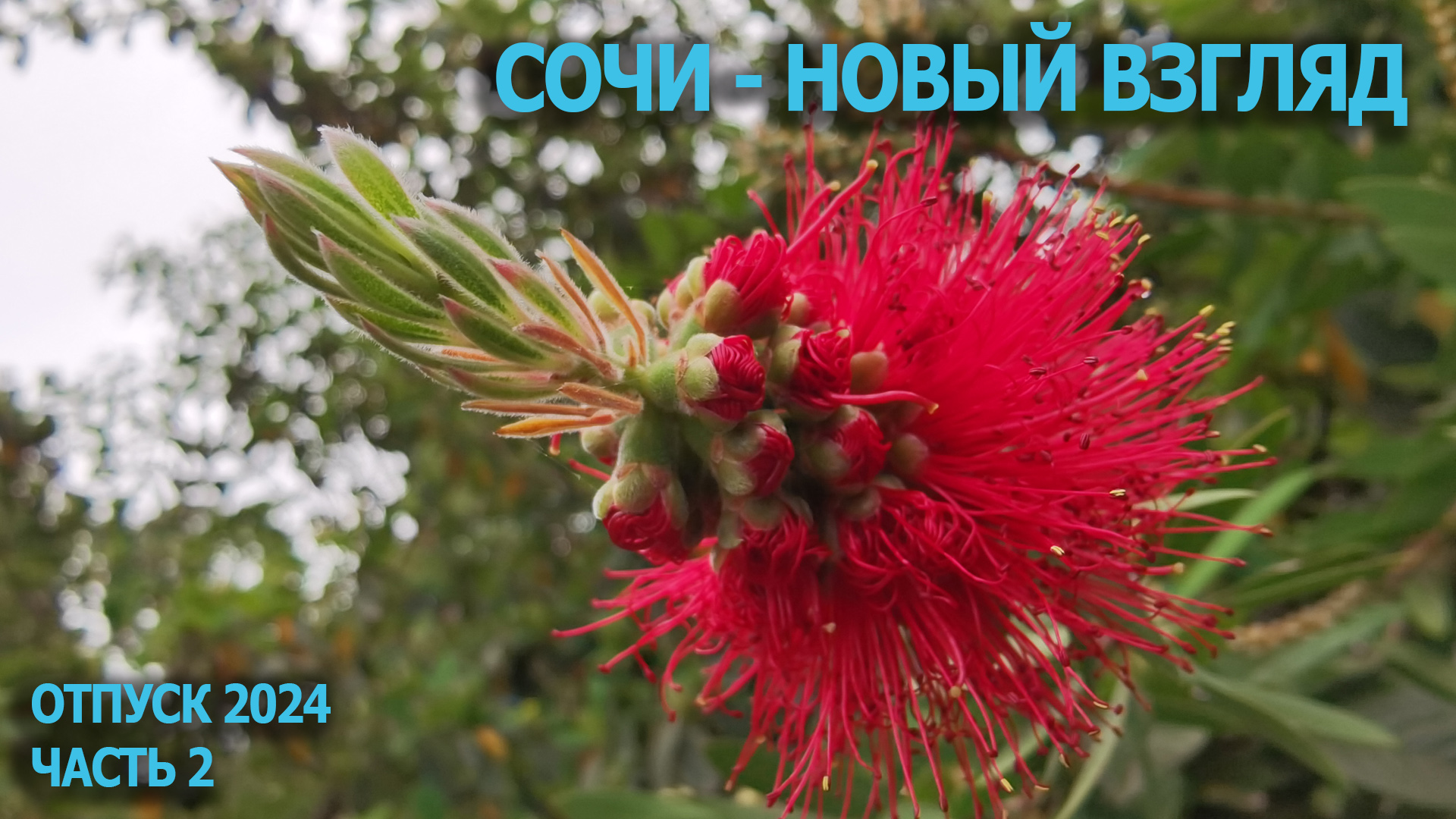 Сочи - Новый взгляд 2024. часть 2