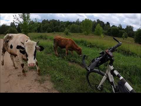 Покатушка в Добрятино #1