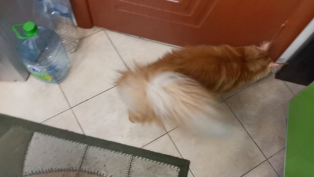 Клод и дверь