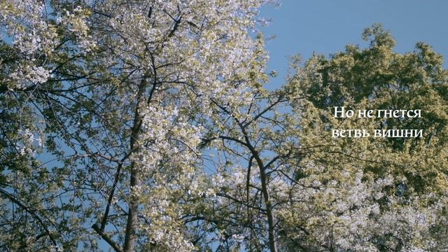 Операторское мастерство. II ступень - сборник видео-хокку (2021)