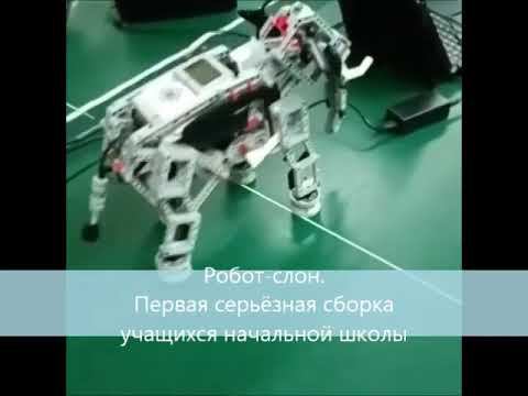 IQ парк. Слон