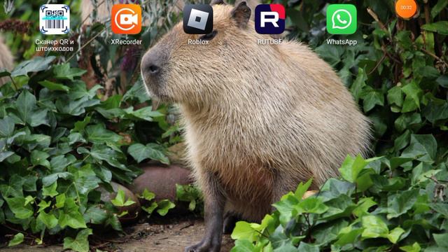 Скоро********₽&-*? ₽) '