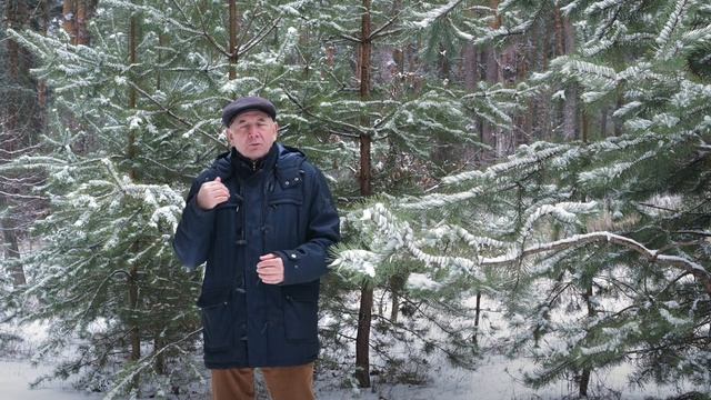 #05 Бальзам для позвоночника. Станислав Лосев_ Как вернуть себе волю и выразить себя