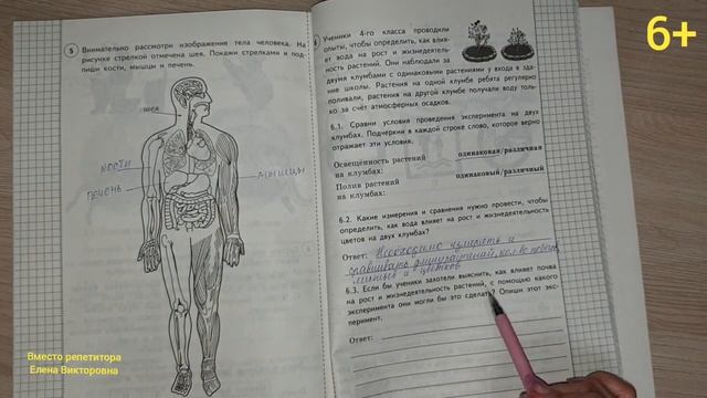 ВПР по окружающему миру в 4 классе