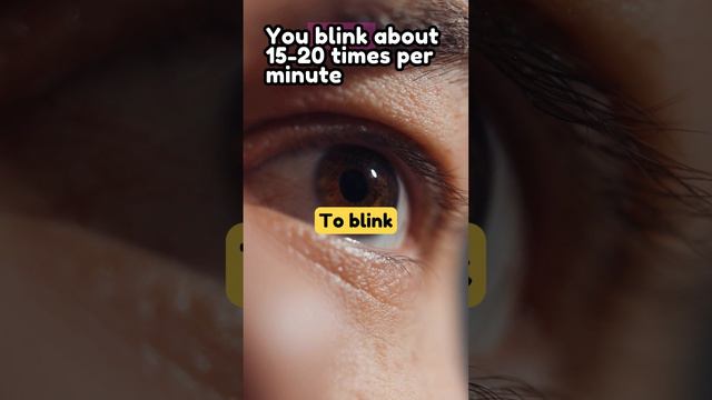 забавный факт
здоровье