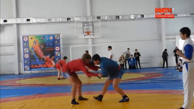 Самбо в школу на СпортКоманде - итоги второго этапа Фестиваля