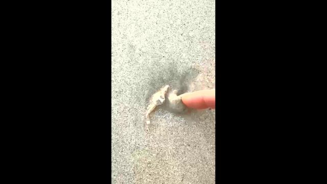 Прогулки по Аджману! Отдых в ОАЭ! Часть 2