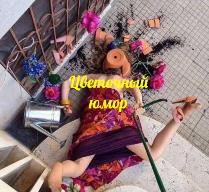 Цветочный юмор