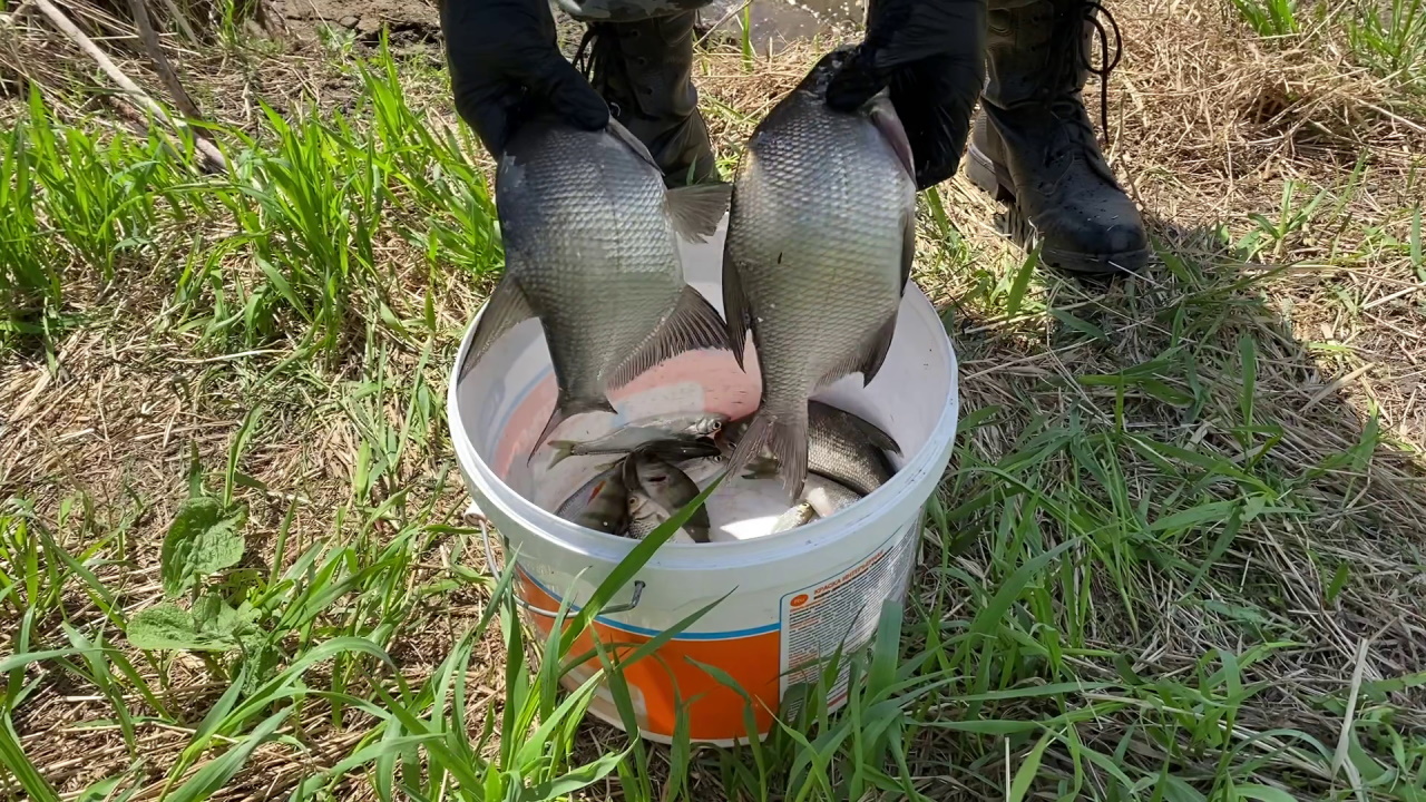 ЛЕЩ НА ФИДЕР.mp4