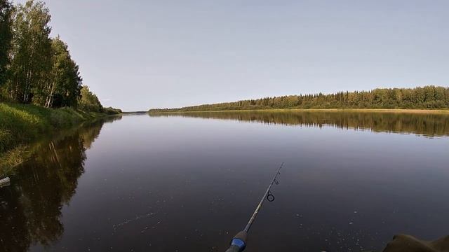 поймал крупных язей на блесну.