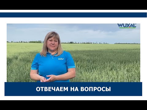 Суспензии Вуксал. Отвечаем на Ваши вопросы