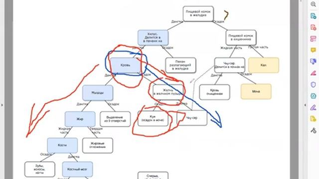 7 сил тела.mp4