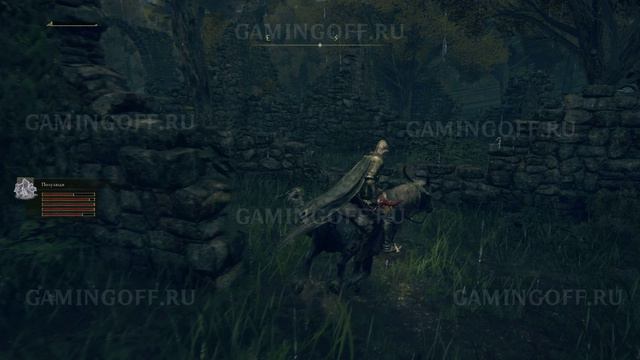 Как получить щит Виновника в Elden Ring