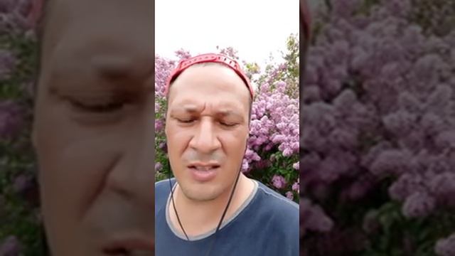 LIKEE. СОЦСЕТЬ. PROPHET. SHCHERBAKOV. ЩЕРБАКОВ АРТЁМ. 11.015.ВЫЧУРНОСТЬСВОЕОБРАЗНЕАДЕКВАТ_1005_1014