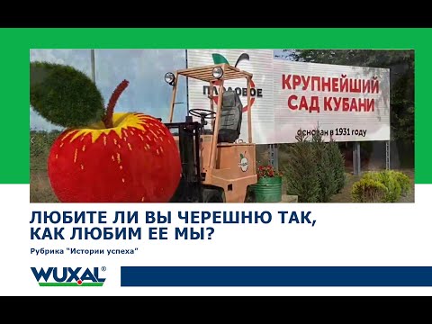 Промышленное выращивание черешни в Краснодарском крае/Сорта черешни/Применение удобрений