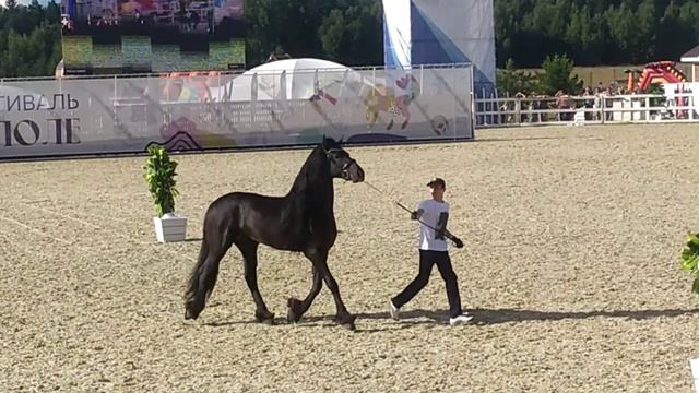 Парад пород - выпуск 7