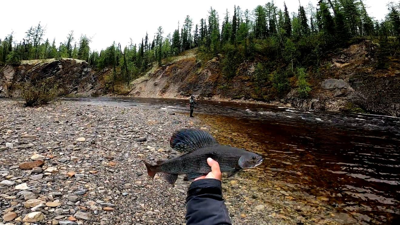 Рыбалка на неописуемо красивой реке. Ловля Хариуса. Водомётные приключения.