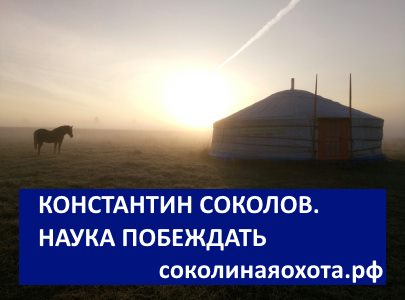 Соколиная охота. Наука побеждать